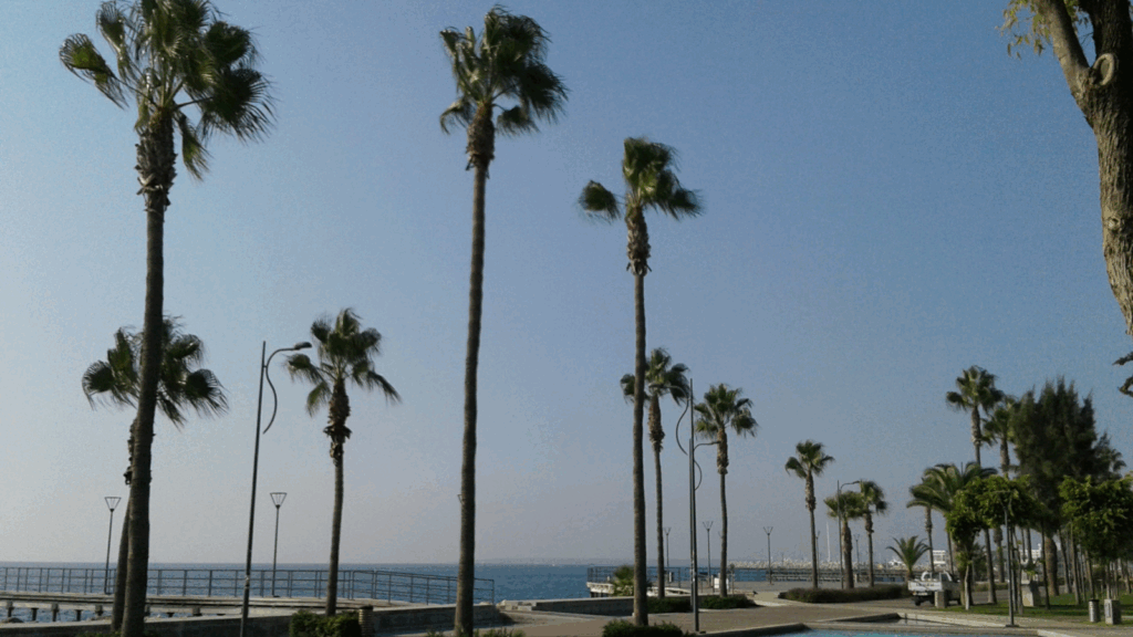 Cyprus and the Schengen Area: What to Expect in 2026 - Eurofast